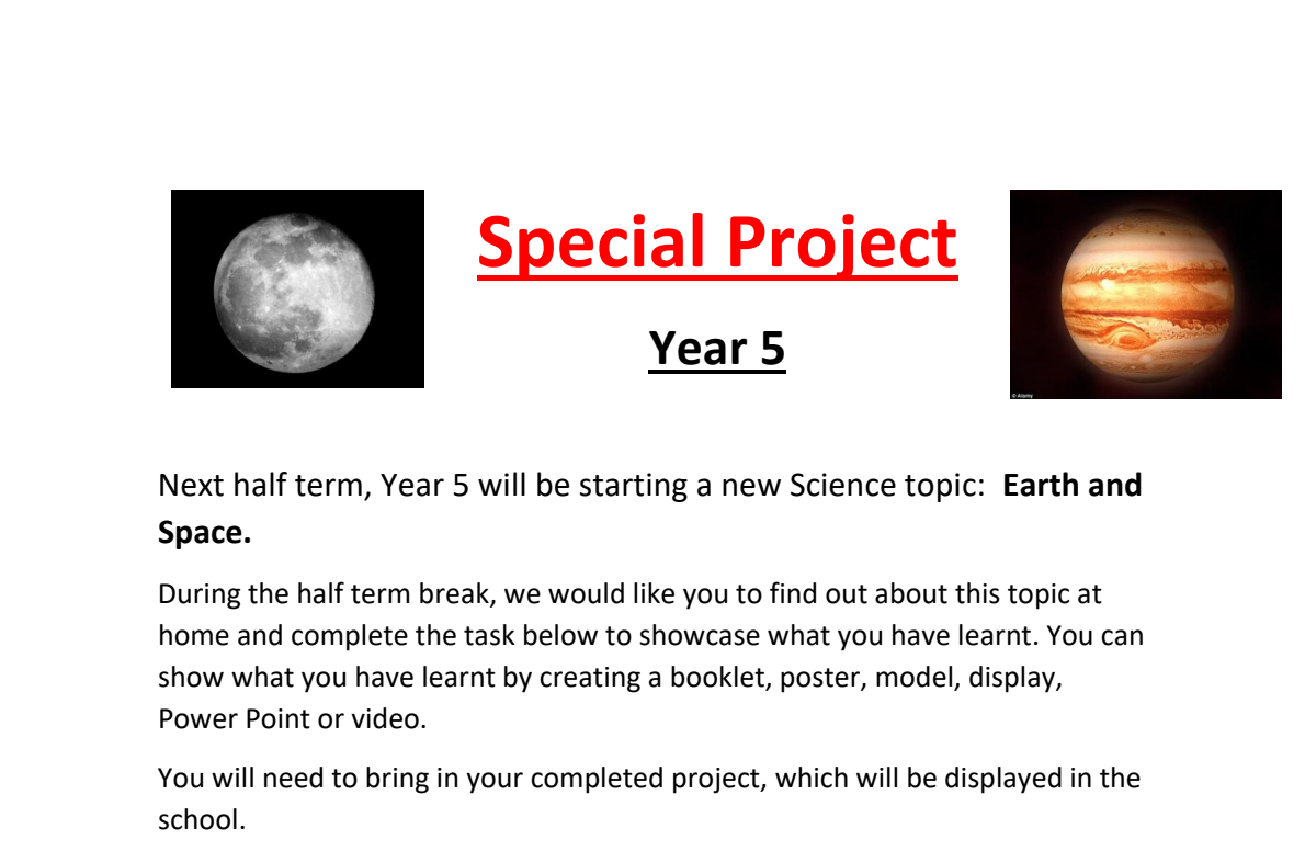Special Projects - Willow Primary School